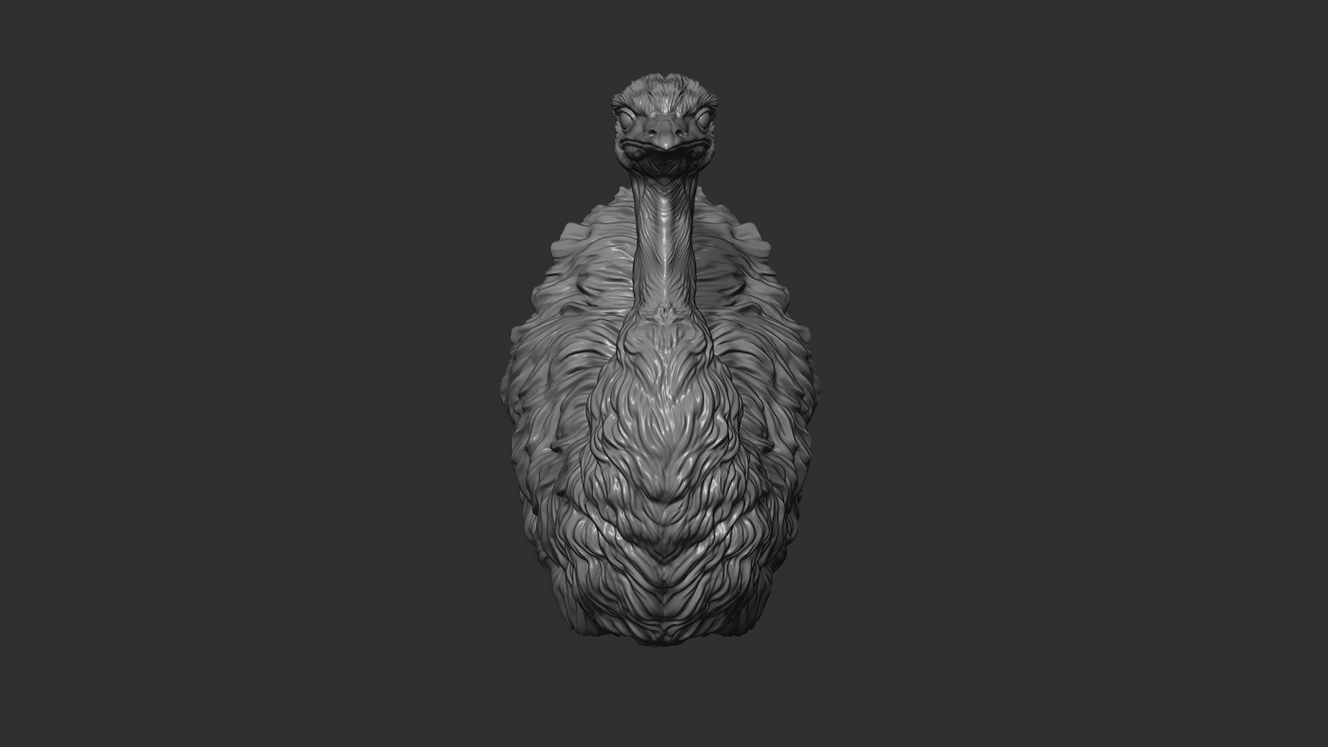 Emu Ostrich Bust 3D Model - TurboSquid 2102909