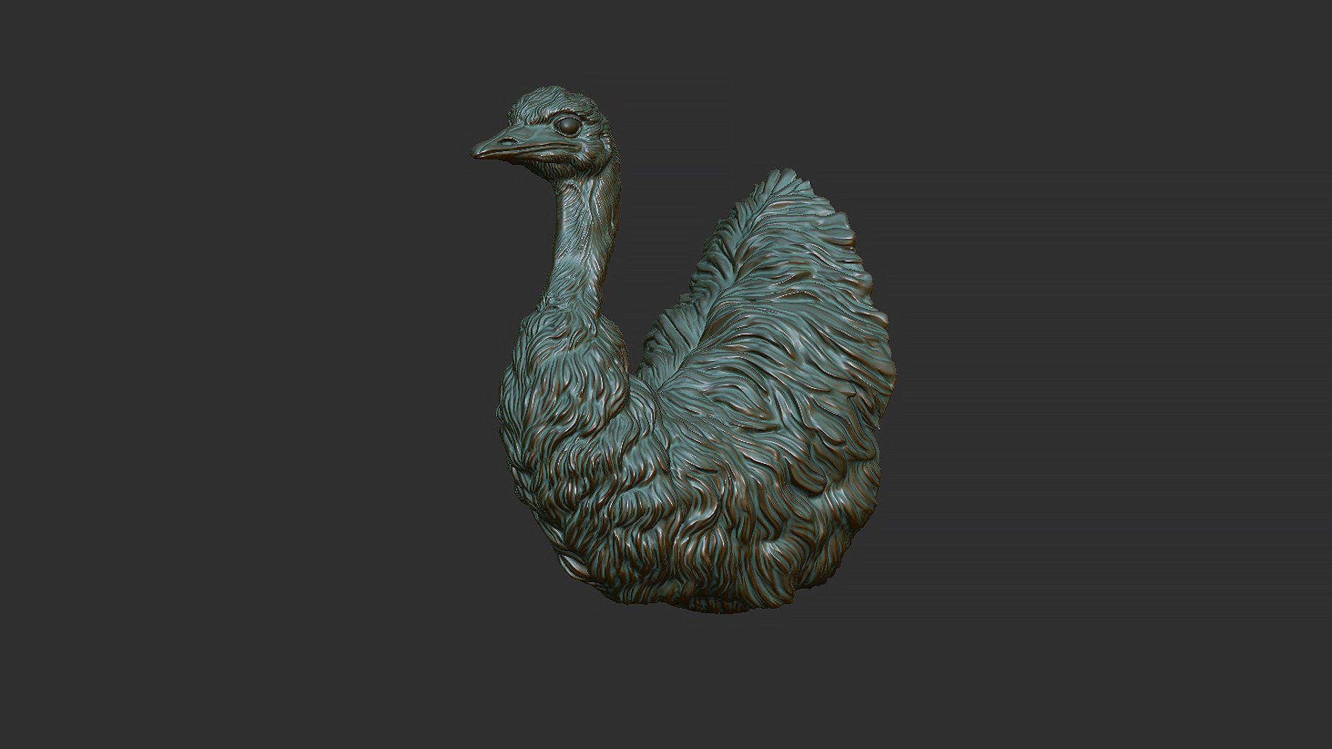 Emu Ostrich Bust 3D Model - TurboSquid 2102909