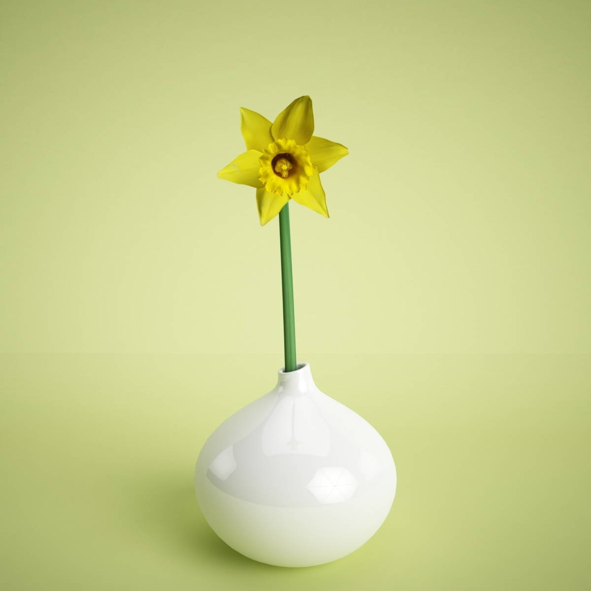 3d model daffodil
