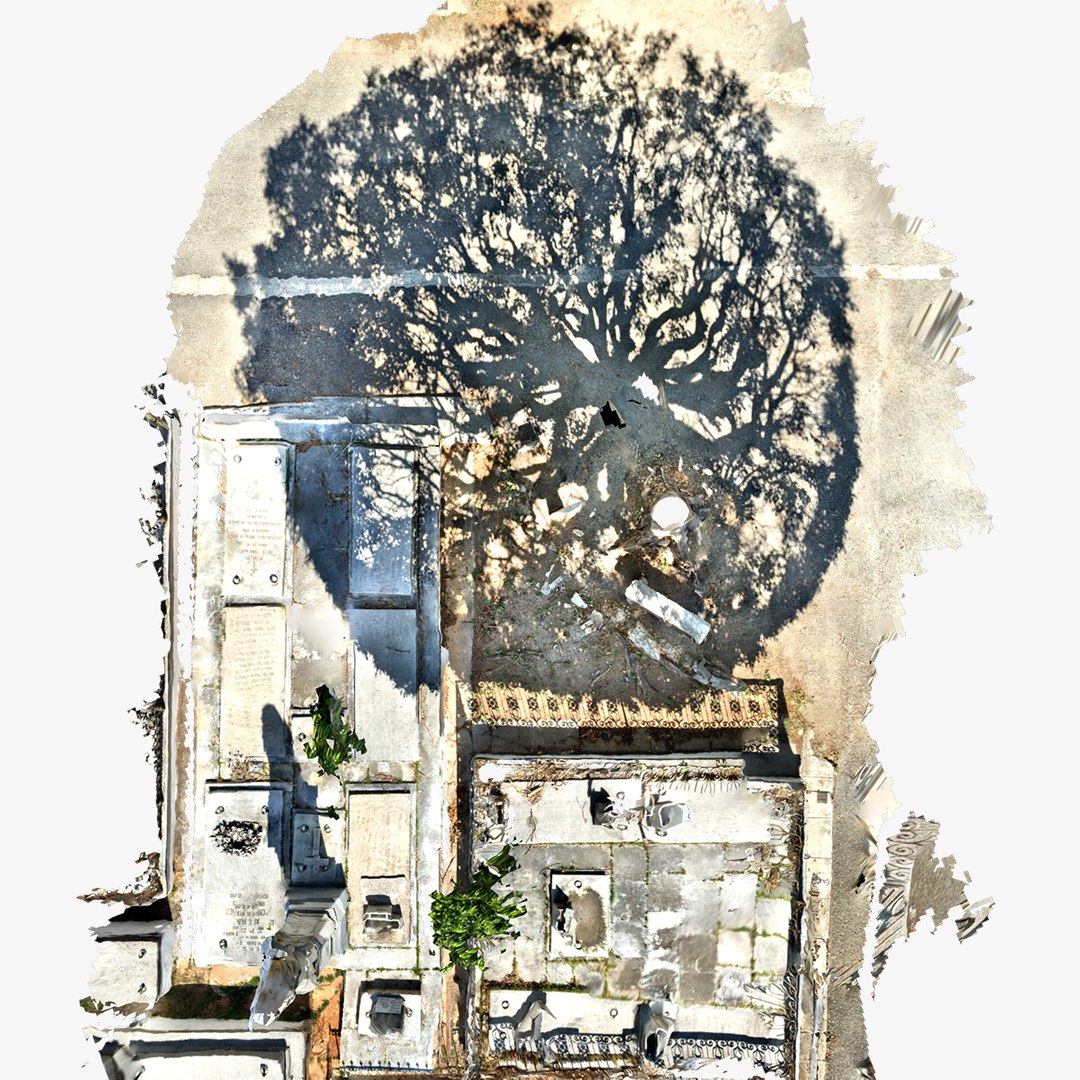 Tree Shadow 3D Model - TurboSquid 1969043