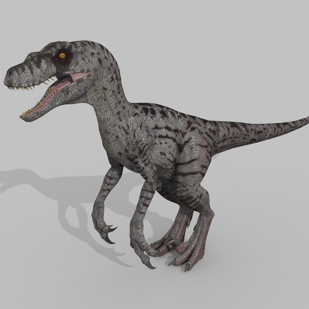Female Alpha Raptor - 3D Model - TurboSquid 1696539