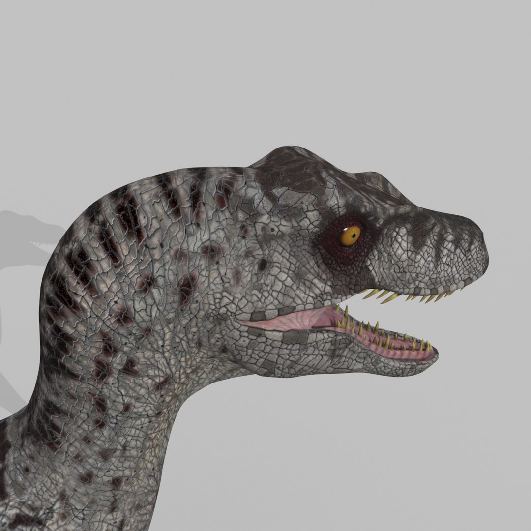 Female Alpha Raptor - 3D Model - TurboSquid 1696539