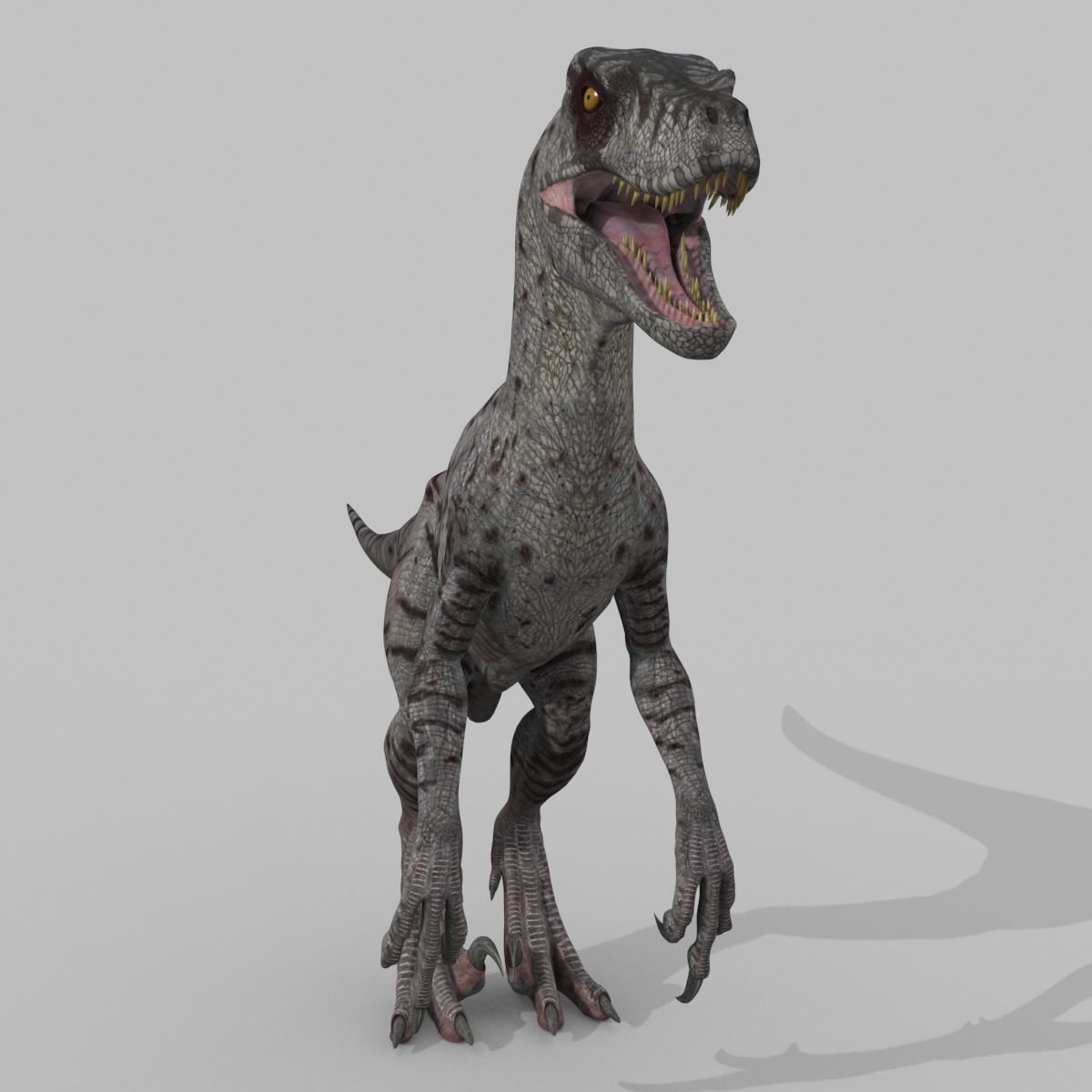 Female alpha raptor - 3D model - TurboSquid 1696539