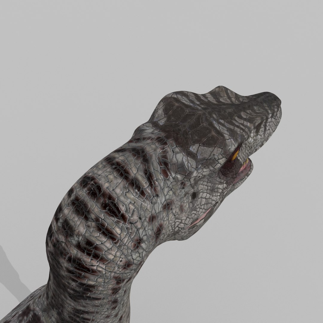 Female Alpha Raptor - 3D Model - TurboSquid 1696539