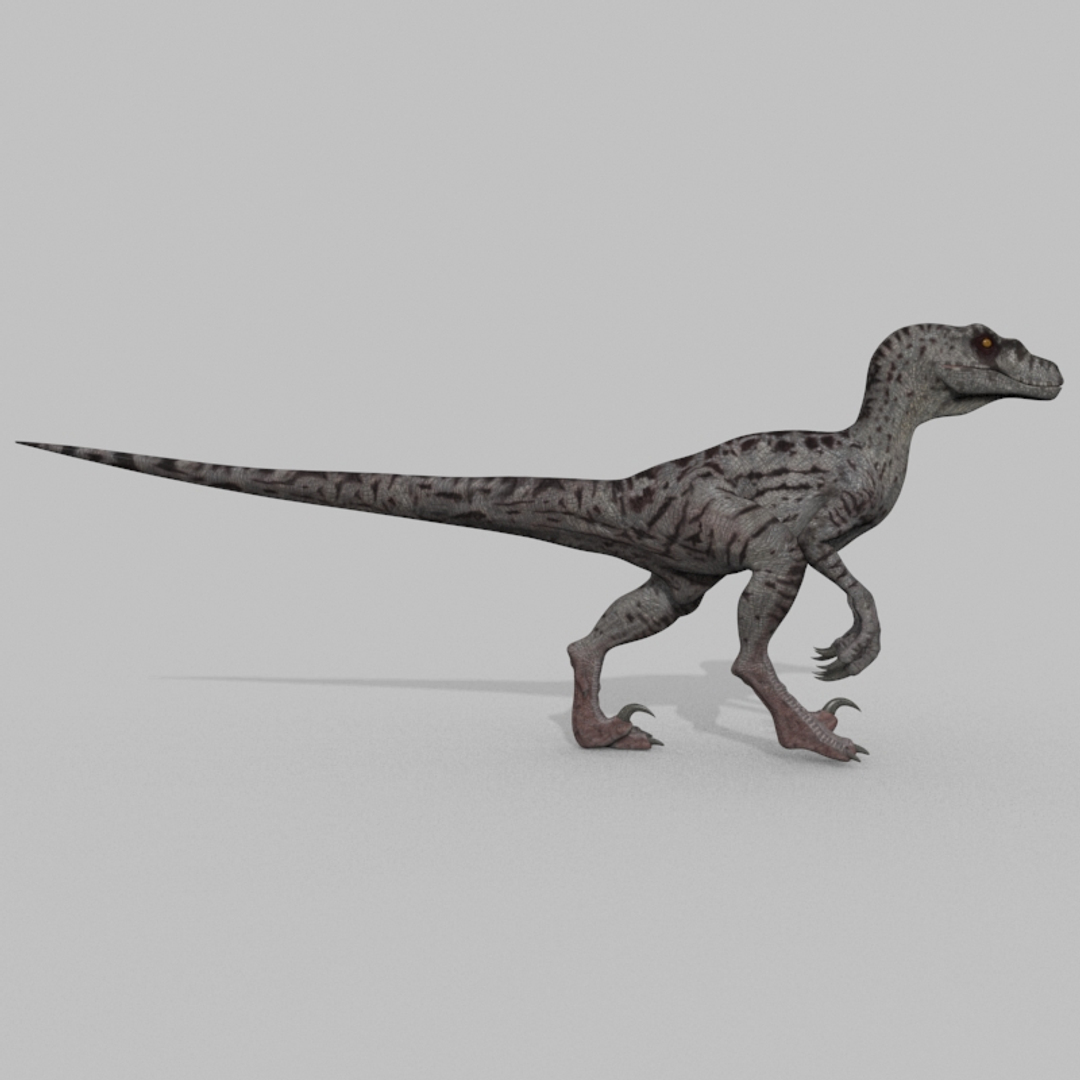 Female alpha raptor - 3D model - TurboSquid 1696539