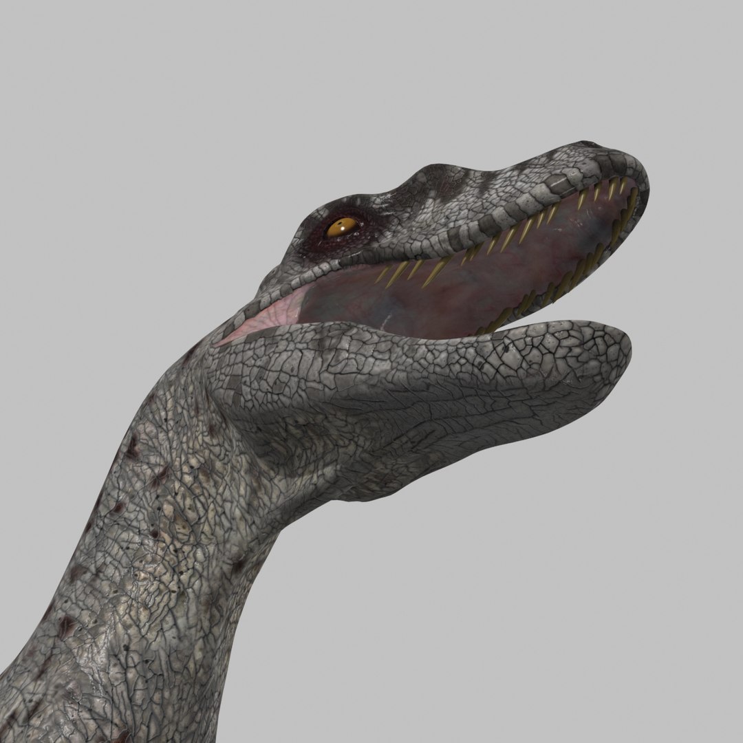 Female Alpha Raptor - 3D Model - TurboSquid 1696539