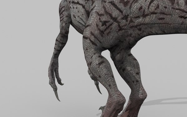 Female alpha raptor - 3D model - TurboSquid 1696539