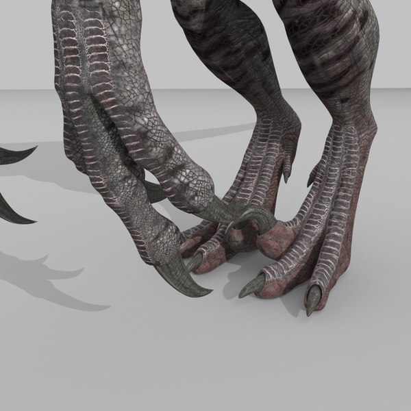 Female alpha raptor - 3D model - TurboSquid 1696539