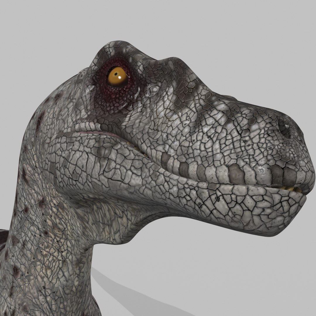 Female Alpha Raptor - 3D Model - TurboSquid 1696539