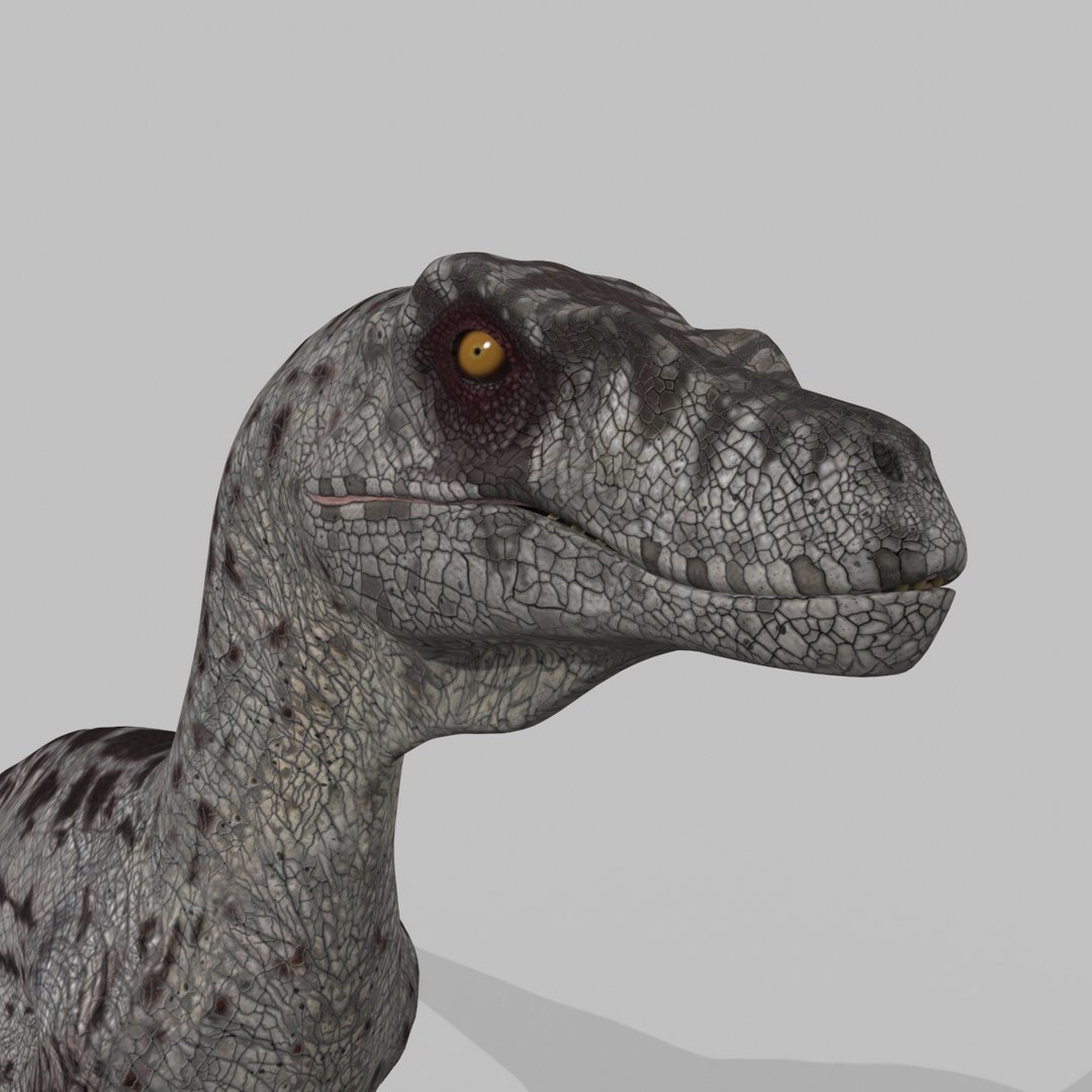 Female Alpha Raptor - 3D Model - TurboSquid 1696539