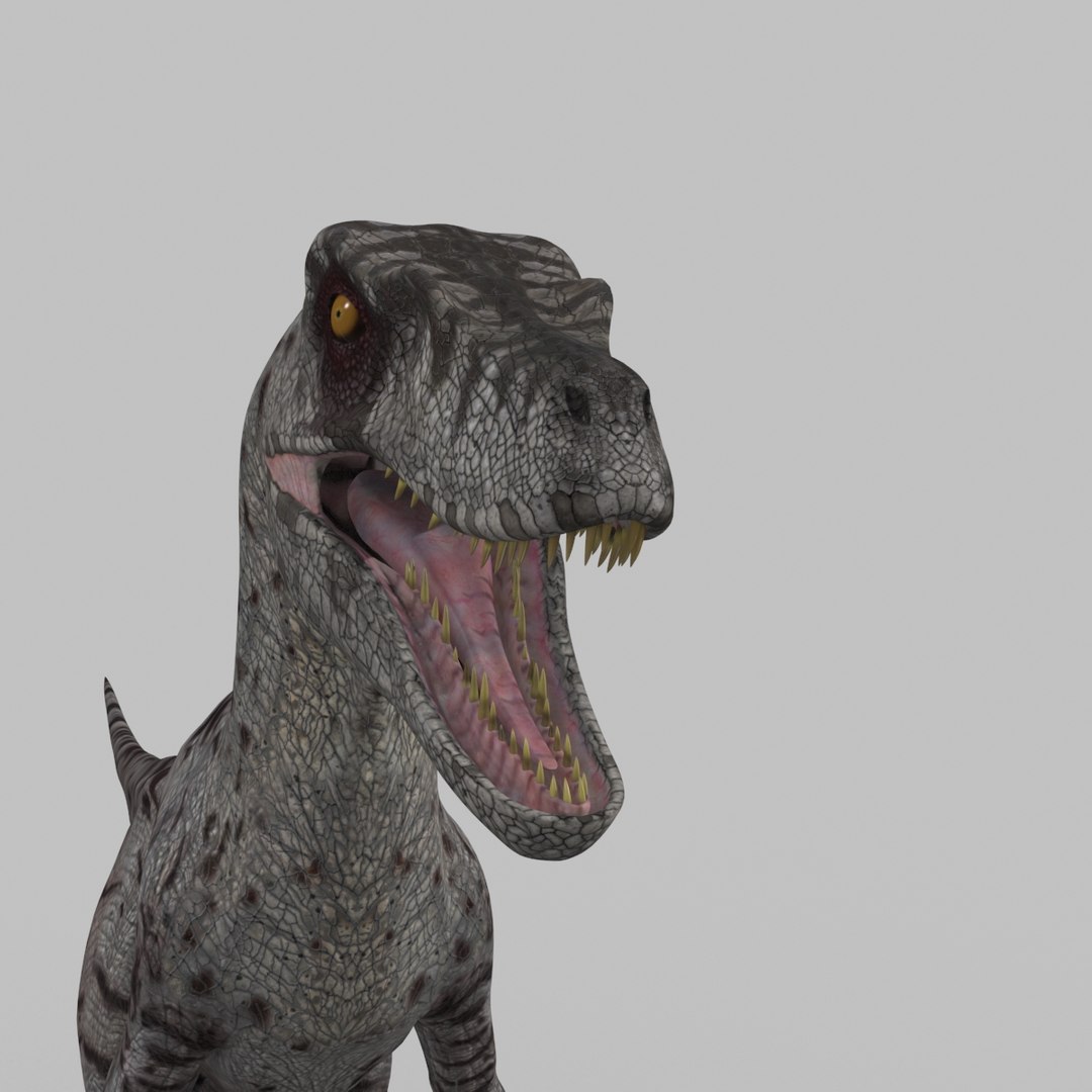 Female Alpha Raptor - 3D Model - TurboSquid 1696539