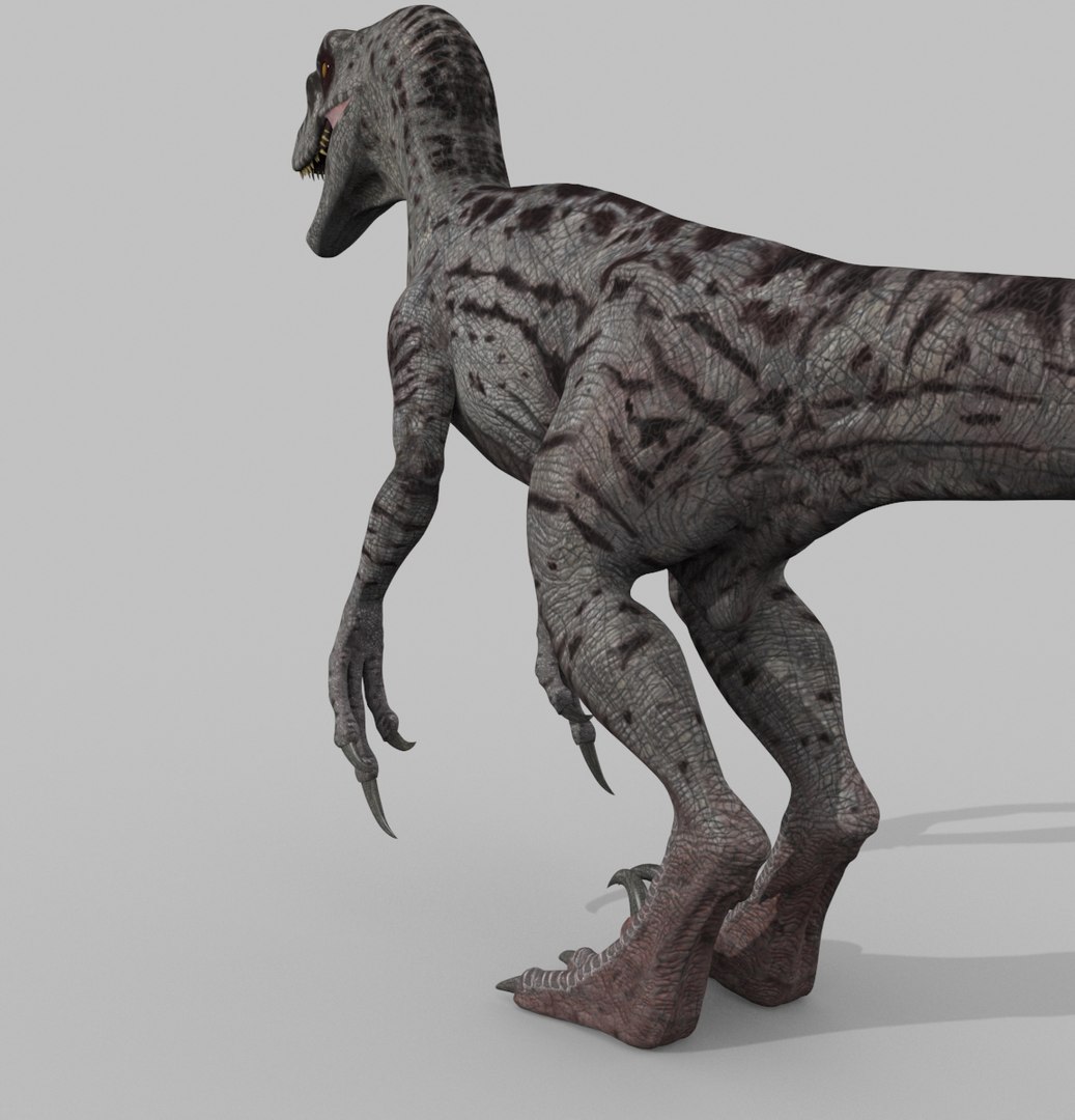 Female Alpha Raptor - 3D Model - TurboSquid 1696539