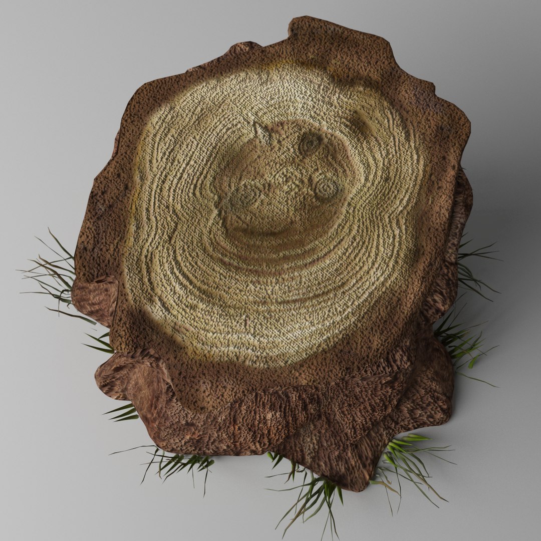 3D Tree Trunk Stump Model - TurboSquid 1331632