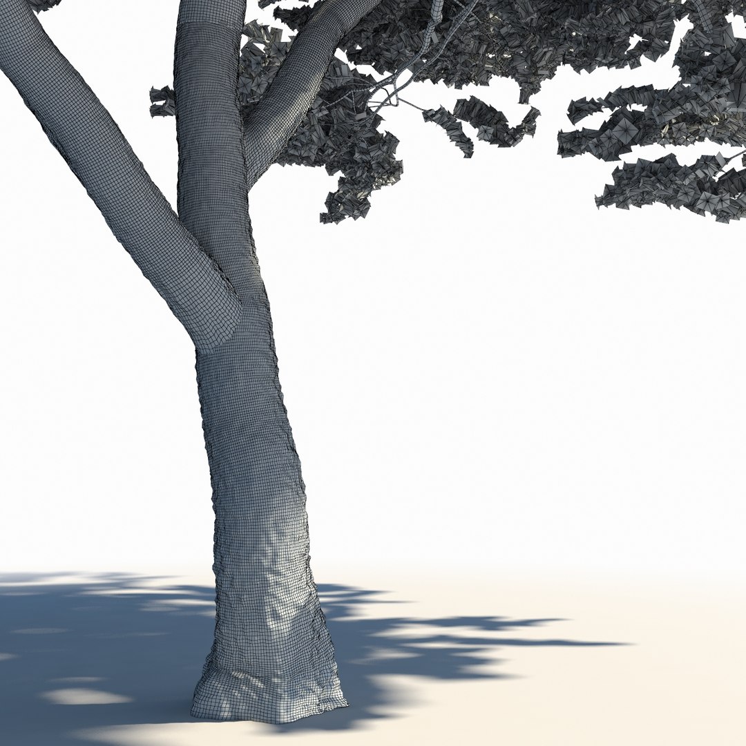 3d Japanese Sakura Tree Bark