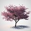 3d Japanese Sakura Tree Bark