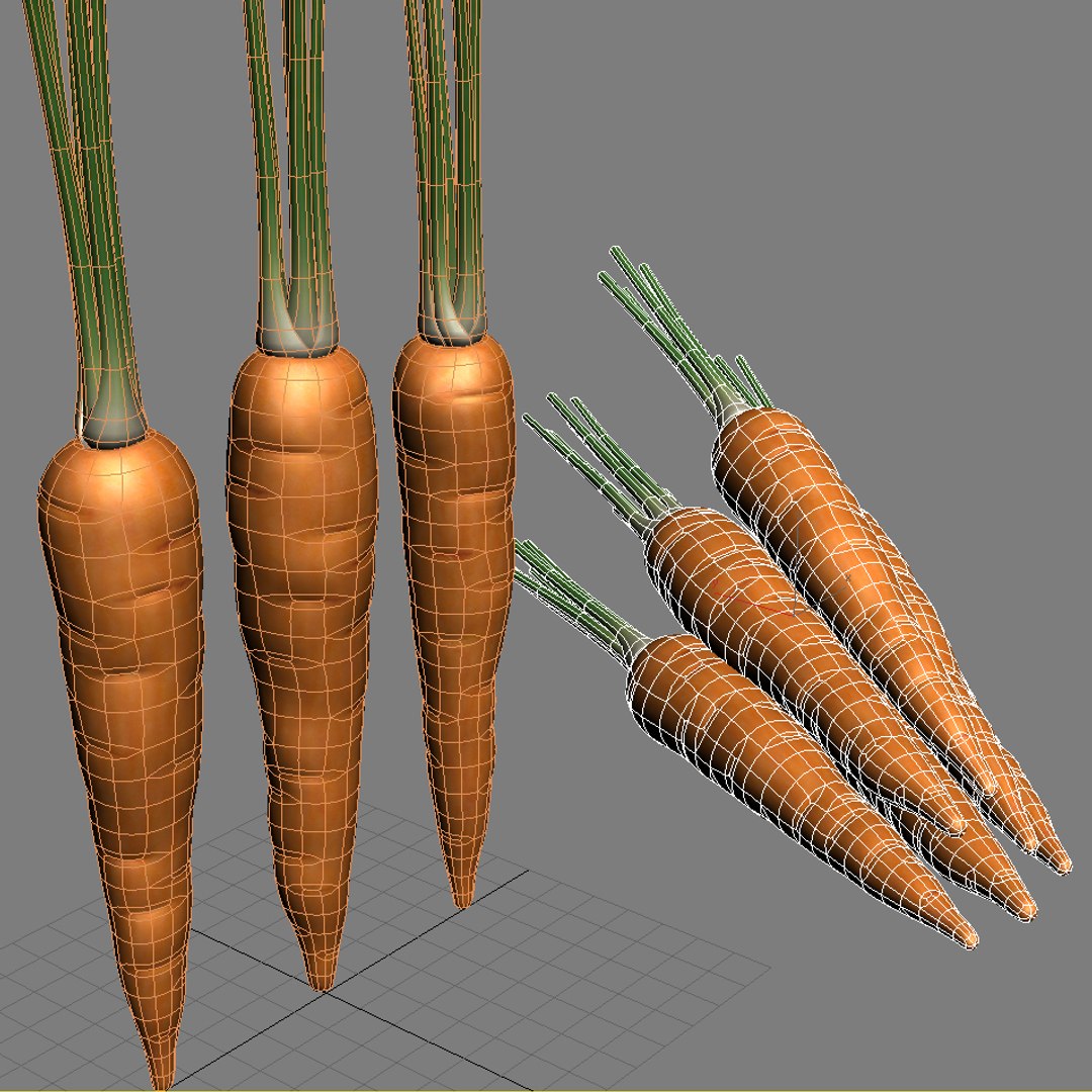 3d Model Carrot Use