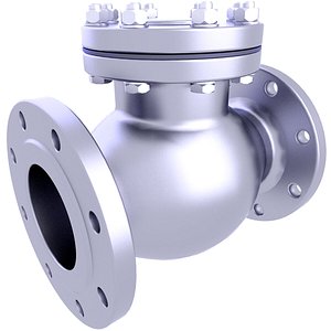 Check Valve 3D Models for Download | TurboSquid