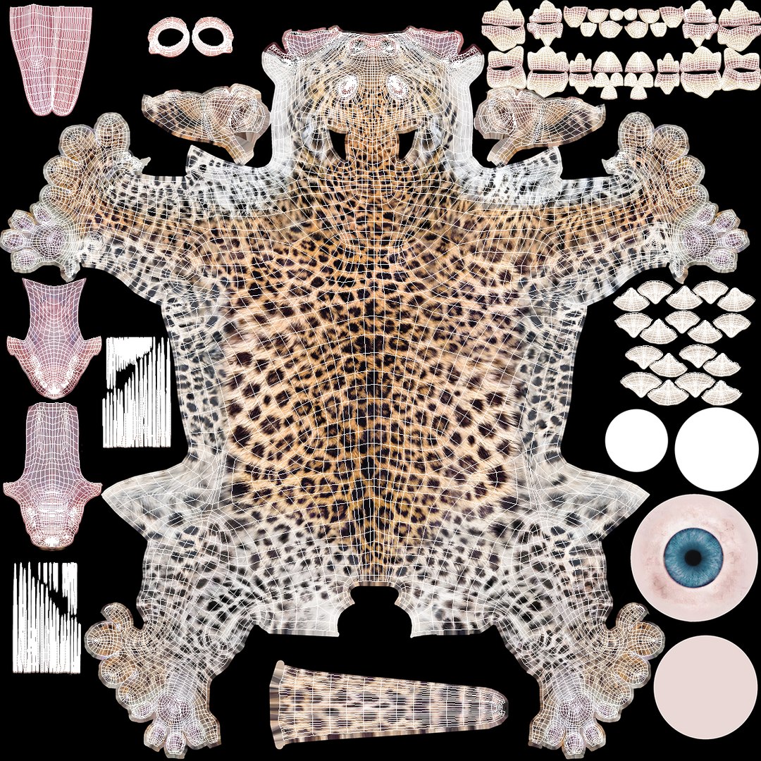 Baby Leopard Cub Fur 3D Model - TurboSquid 2340153