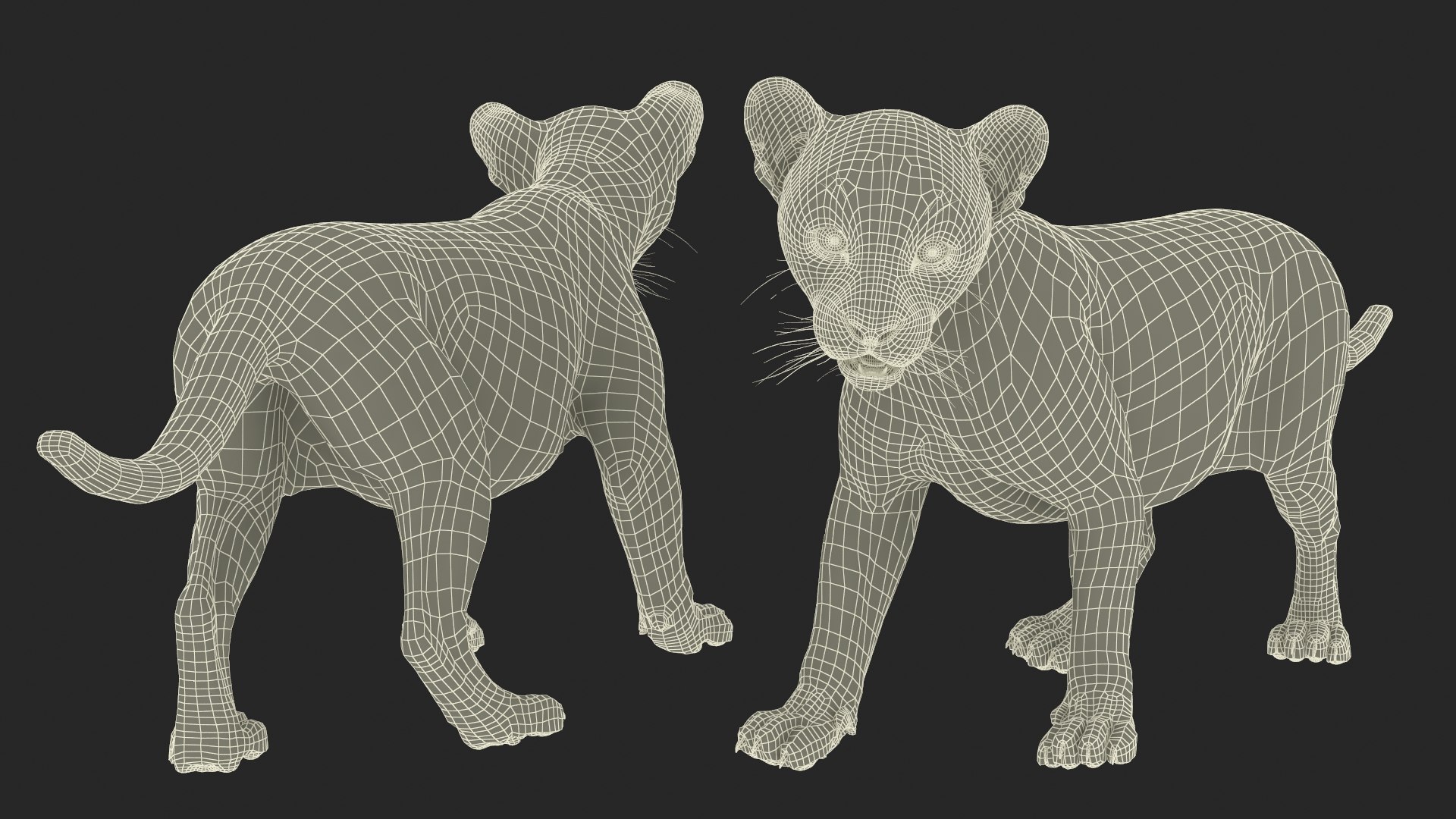 Baby Leopard Cub Fur 3D Model - TurboSquid 2340153