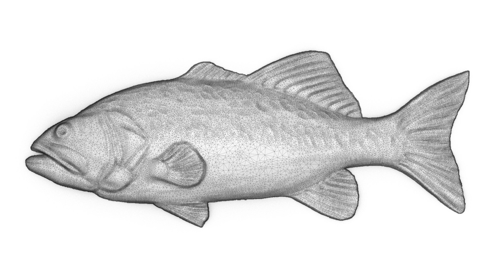 3D Relief Art Fish Model - TurboSquid 1686120