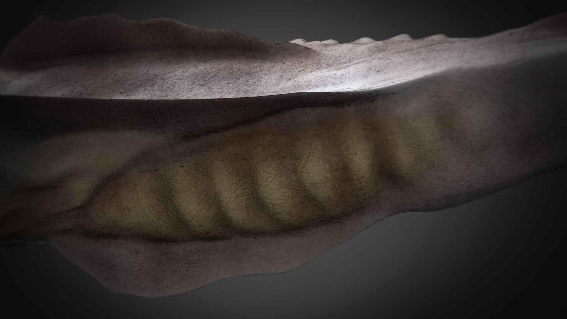 3D Leviathan Sea Monster Model - TurboSquid 1645822