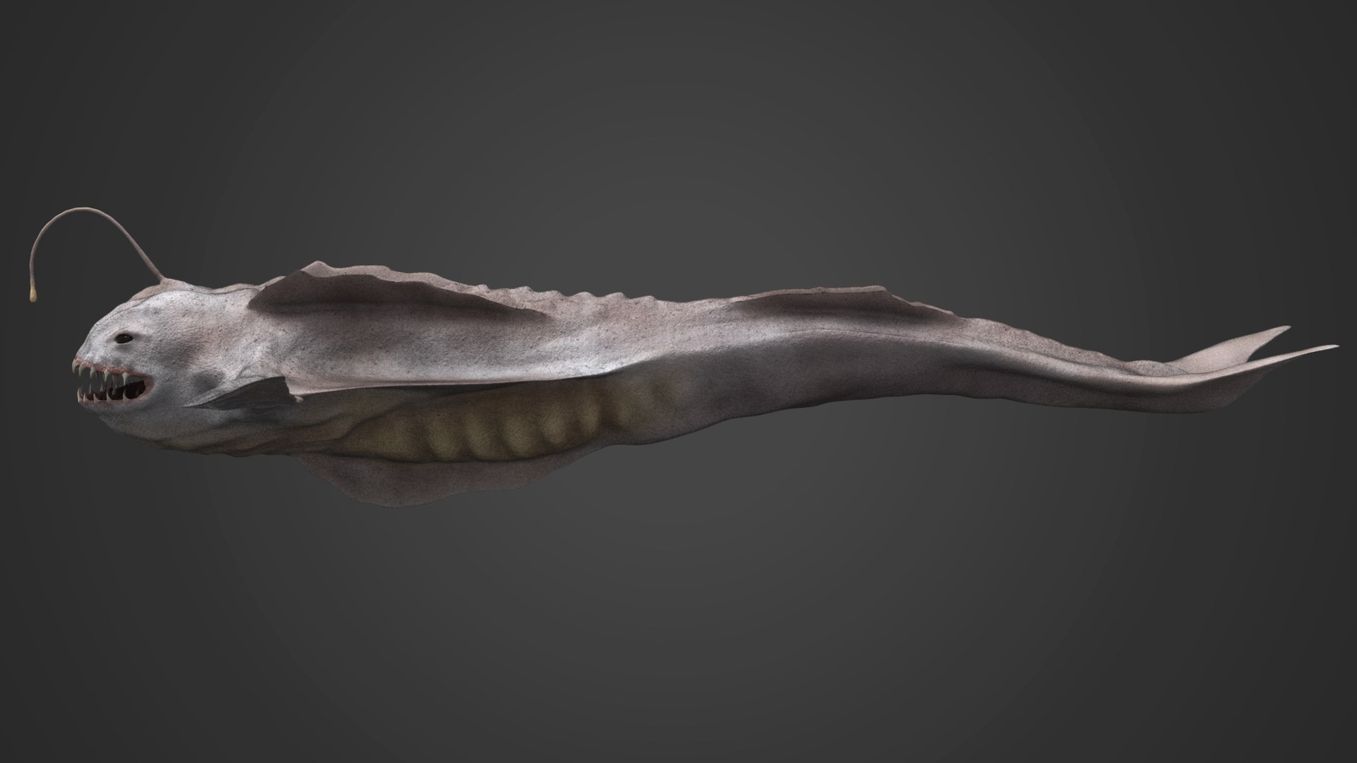 3D Leviathan Sea Monster Model - TurboSquid 1645822