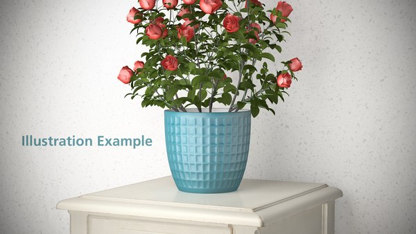 Flower Pot 3D model - TurboSquid 1983405