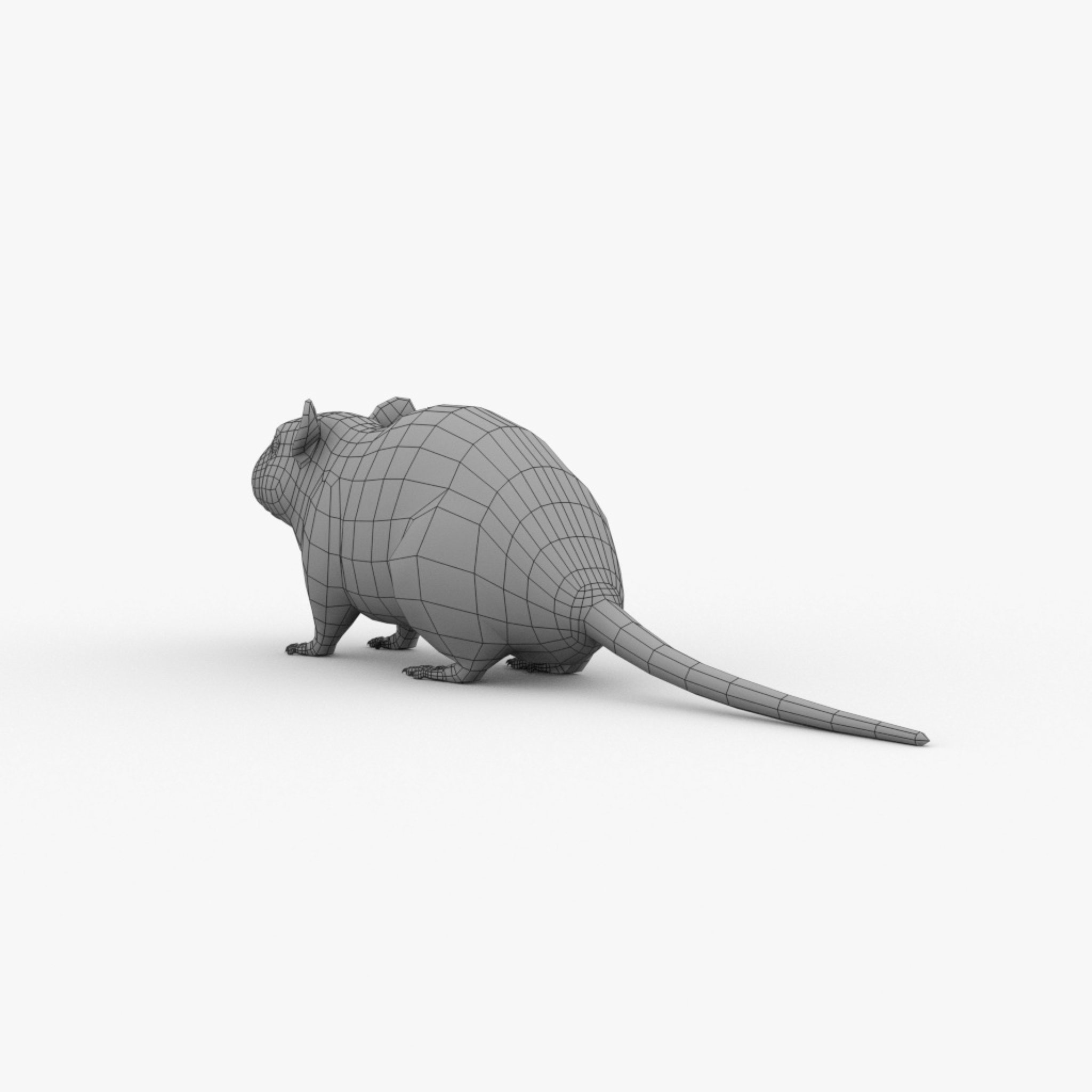 3D rat basemesh - TurboSquid 2007156