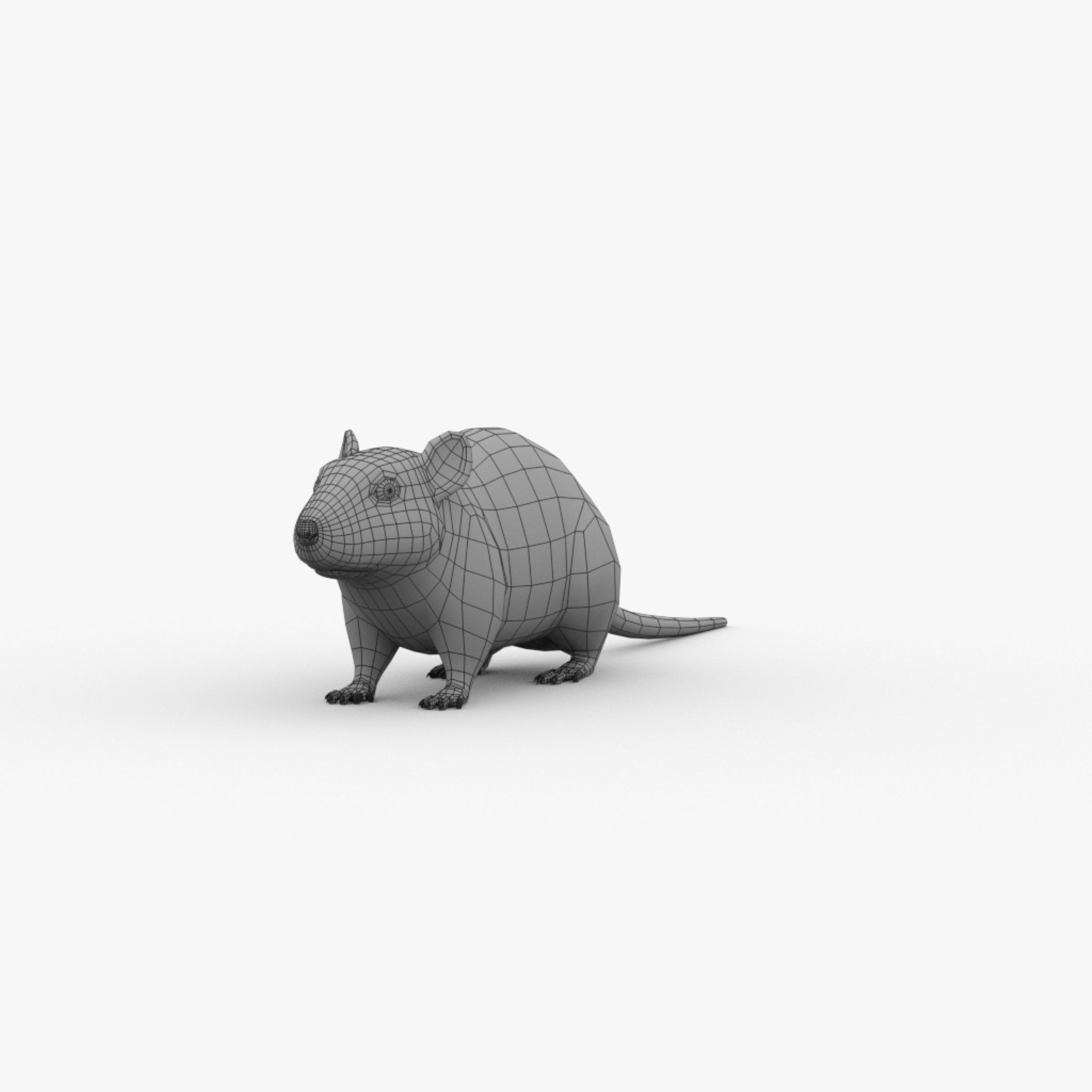 3D rat basemesh - TurboSquid 2007156