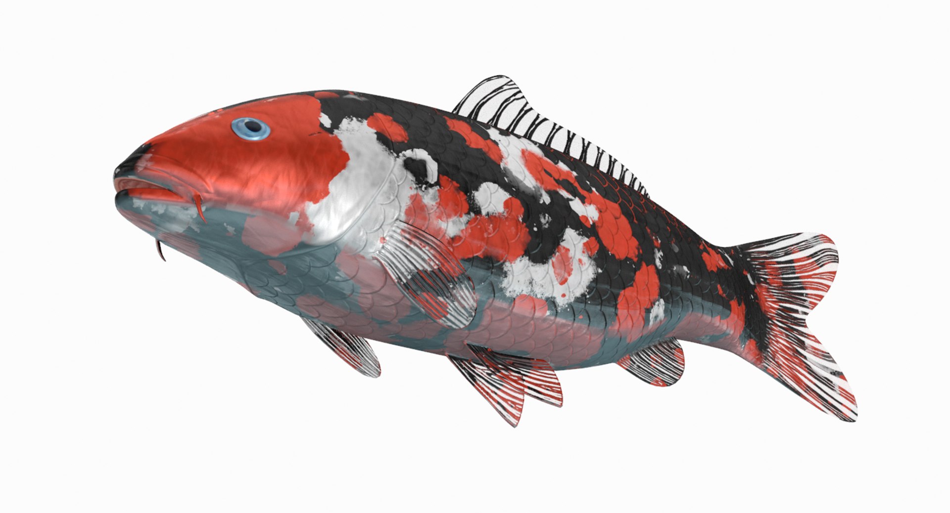 Koi Fish 3D Model - TurboSquid 1248022