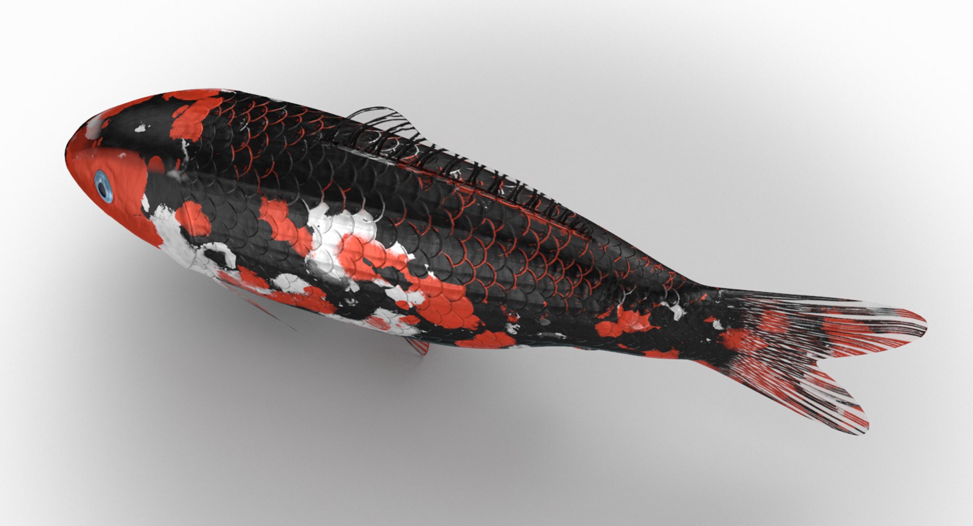 Koi Fish 3D Model - TurboSquid 1248022