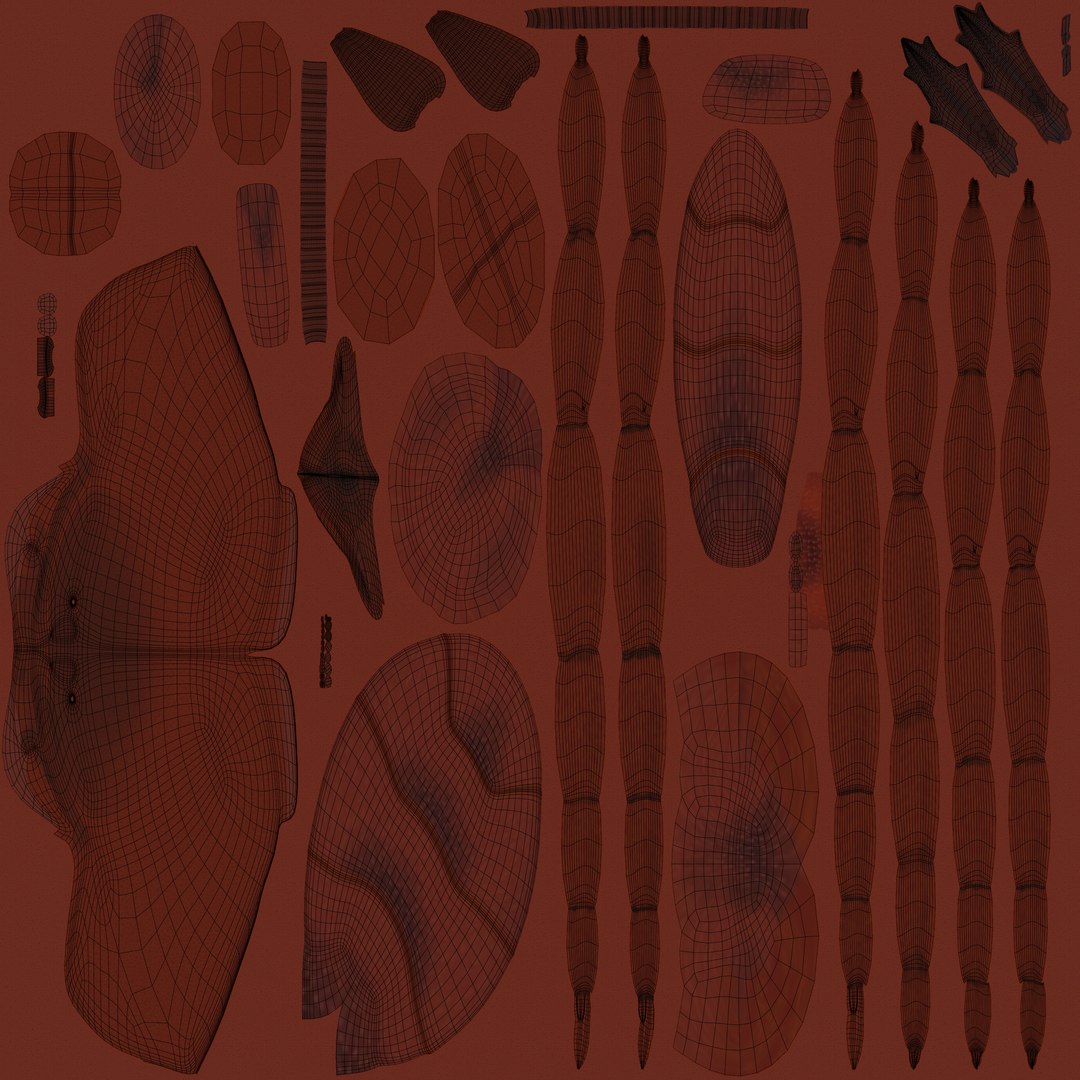 African Driver Ant Major 3D Model - TurboSquid 1836225