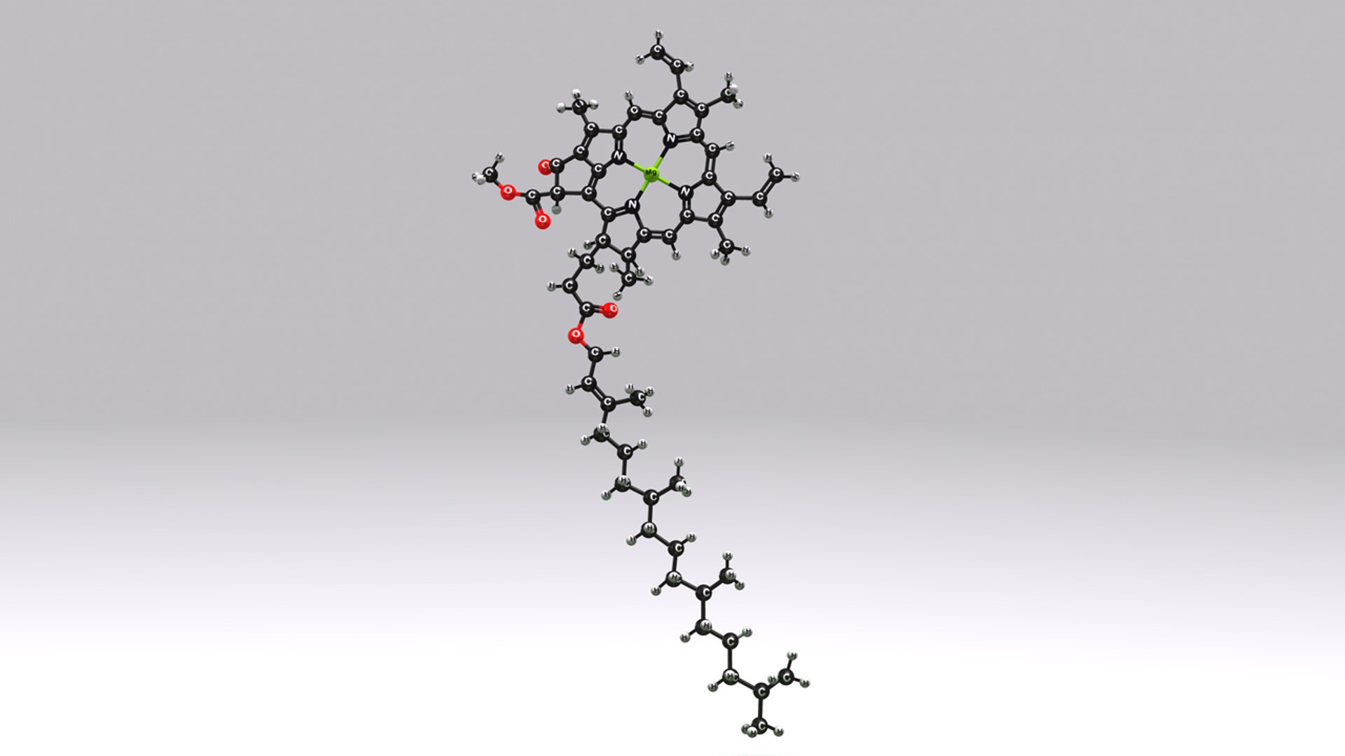 3d Chlorophyll Structure