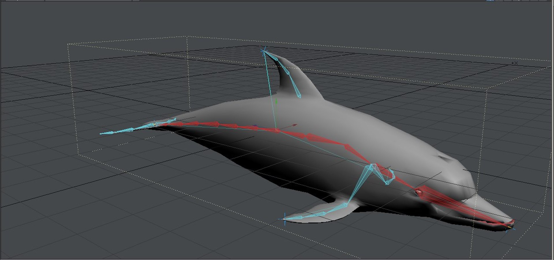 Bottlenose Dolphin Rig 3d Lw