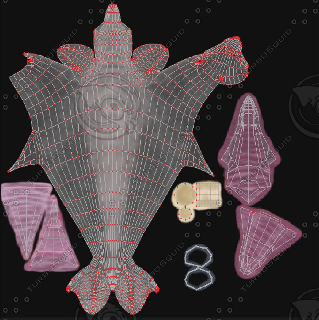 Bottlenose Dolphin Rig 3d Lw