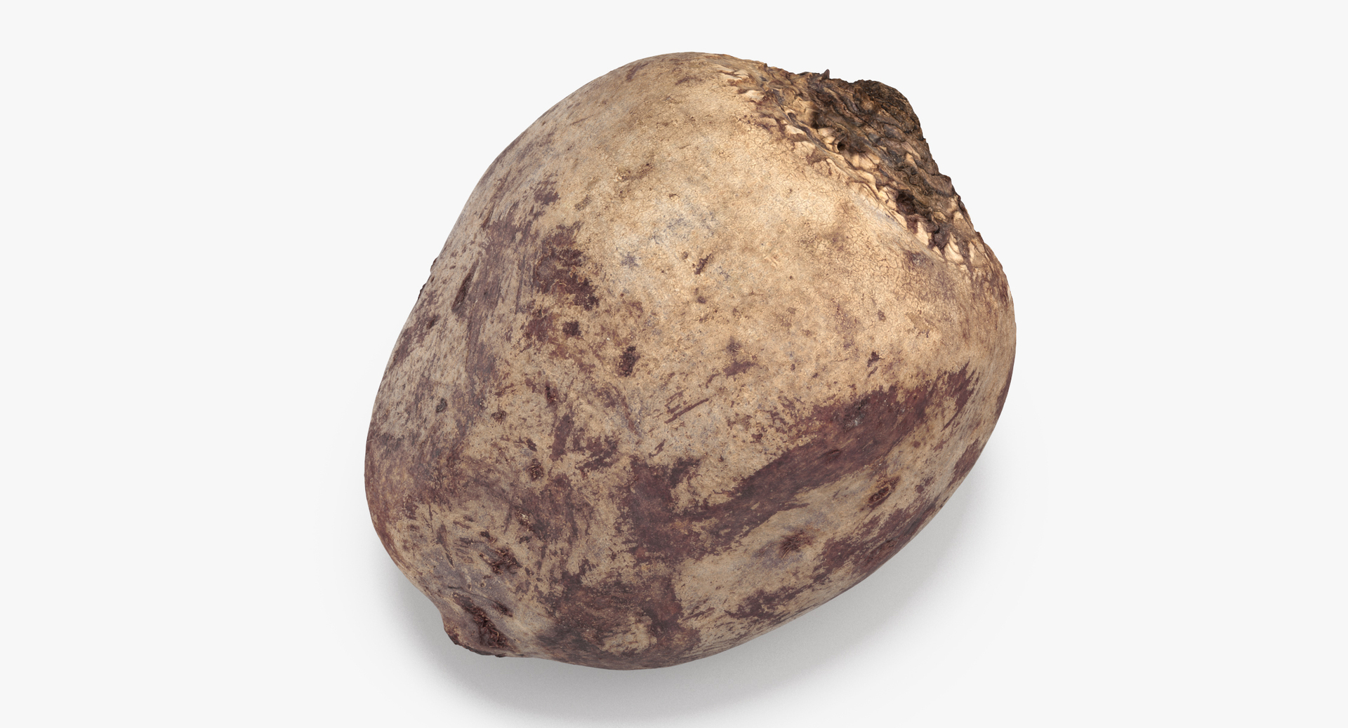 Beetroot Beet Root 3D - TurboSquid 1402918