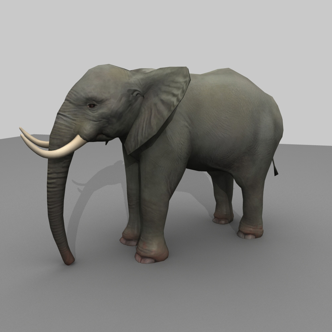 elephant rigged 3d fbx
