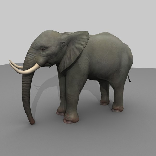 elephant rigged 3d fbx