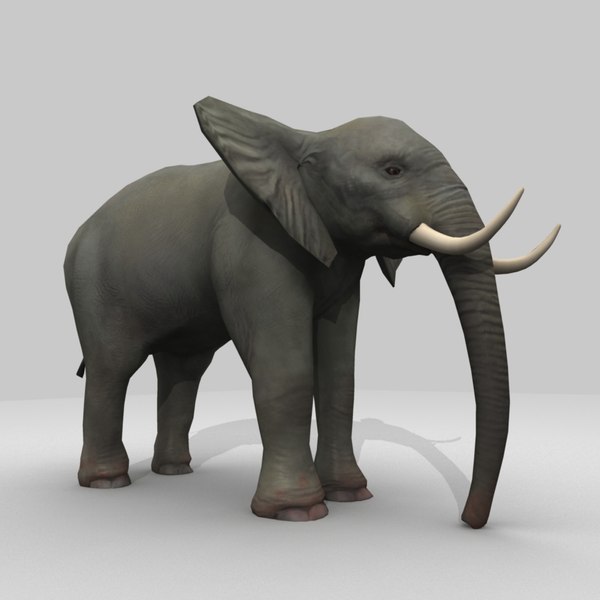 elephant rigged 3d fbx