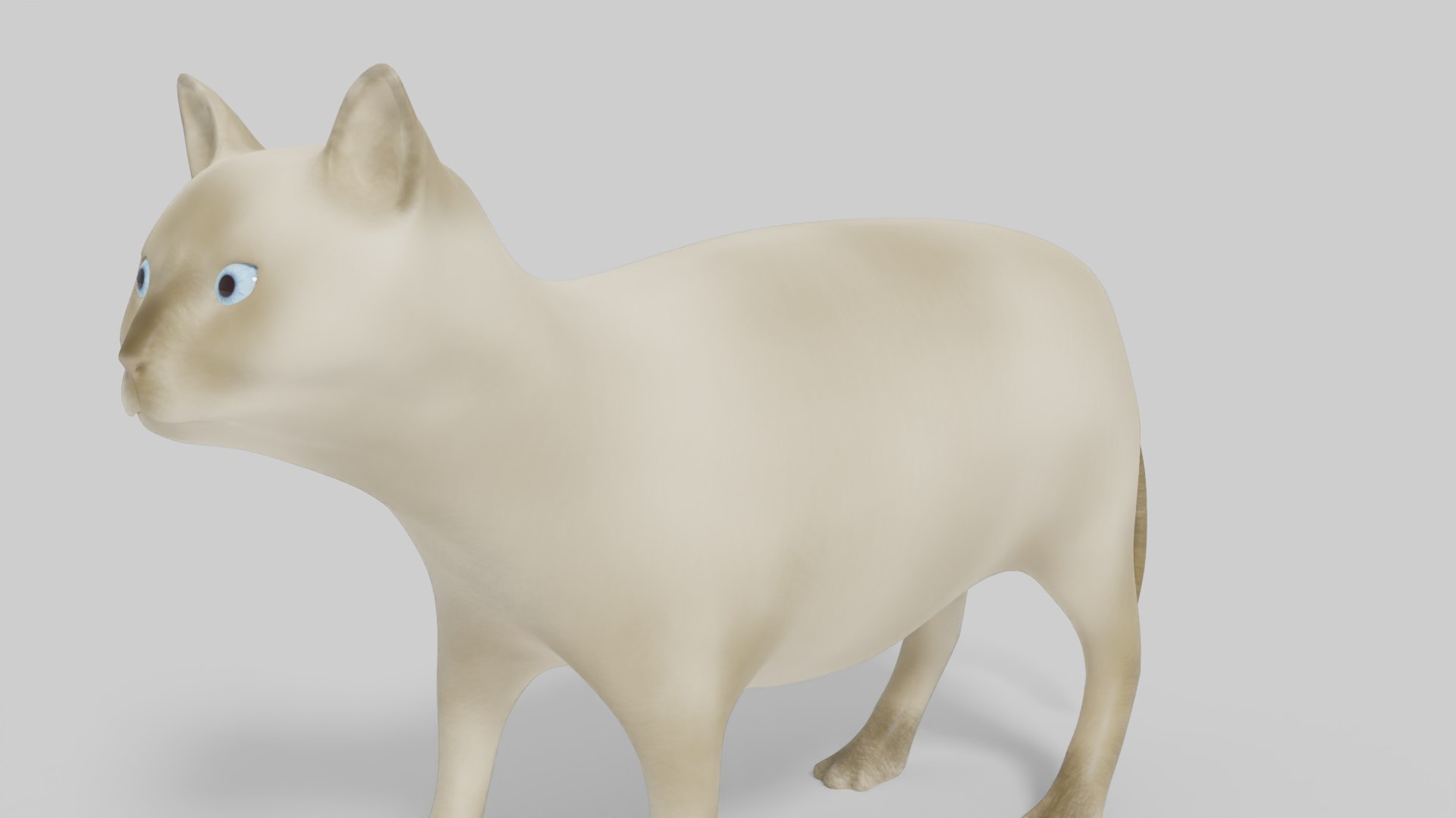 3D Himalayan Cat 3D Model - TurboSquid 2094839