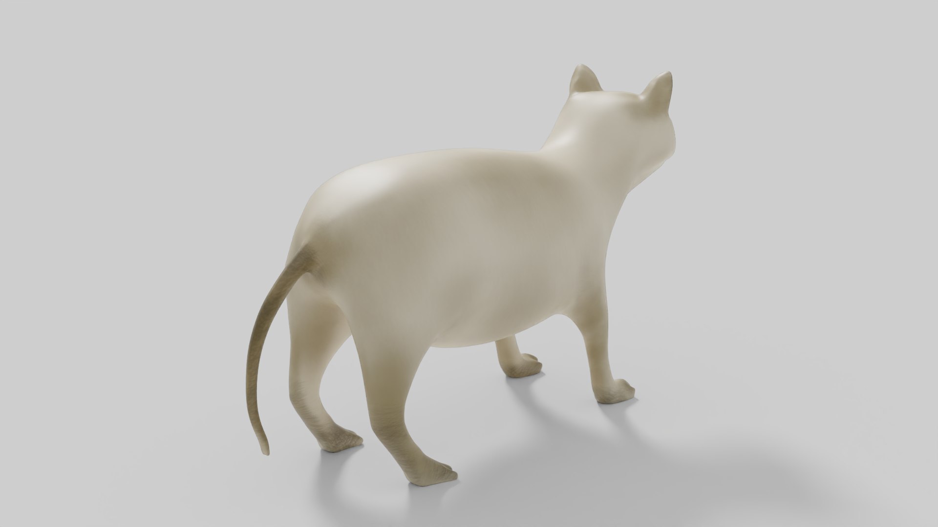 3D Himalayan Cat 3D Model - TurboSquid 2094839