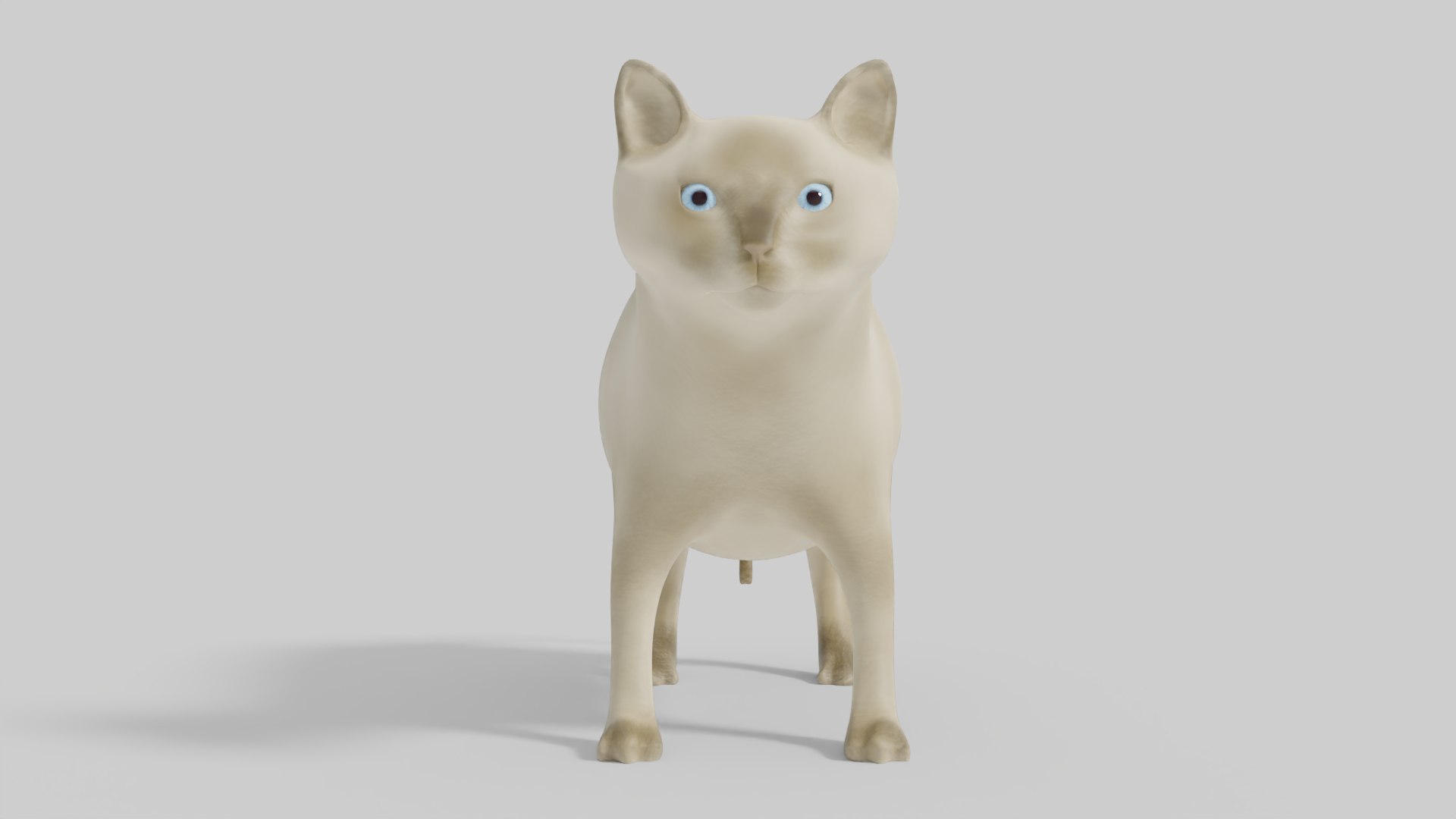 3D Himalayan Cat 3D Model - TurboSquid 2094839