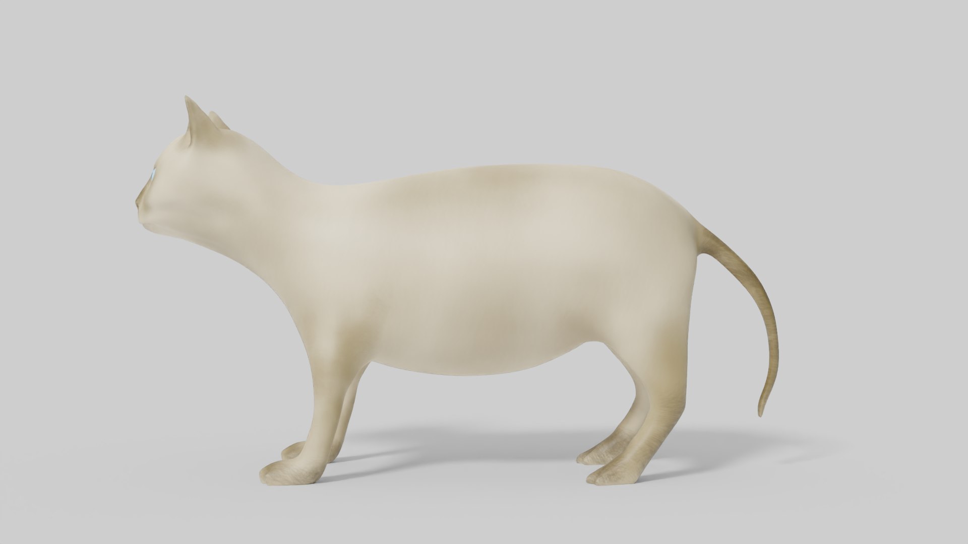 3D Himalayan Cat 3D model - TurboSquid 2094839