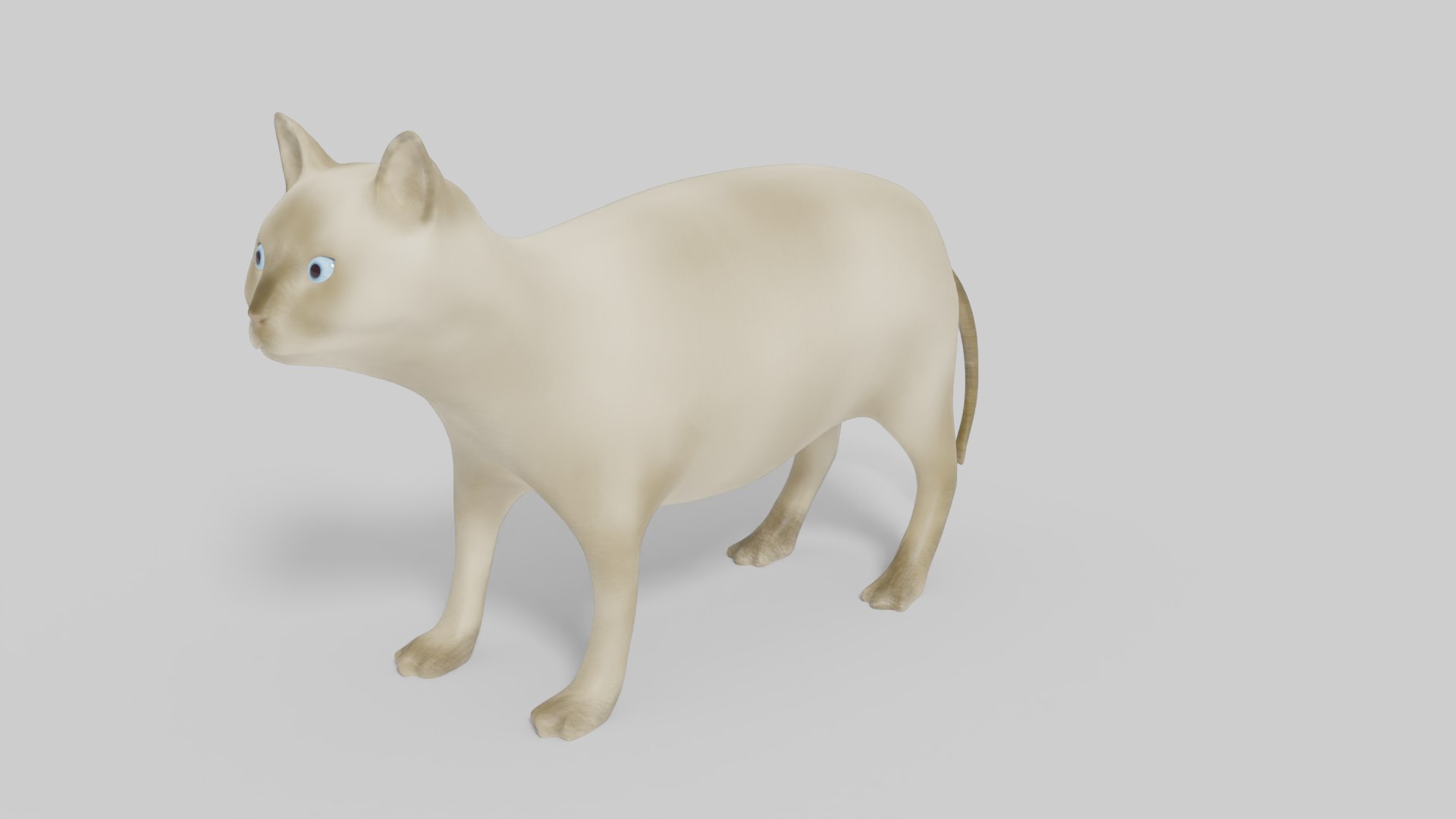 3D Himalayan Cat 3D Model - TurboSquid 2094839