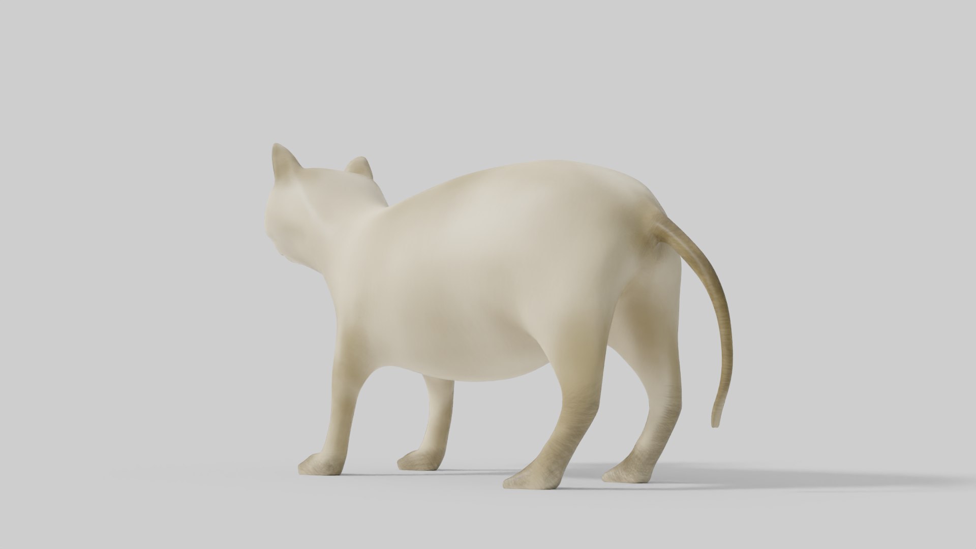 3D Himalayan Cat 3D Model - TurboSquid 2094839