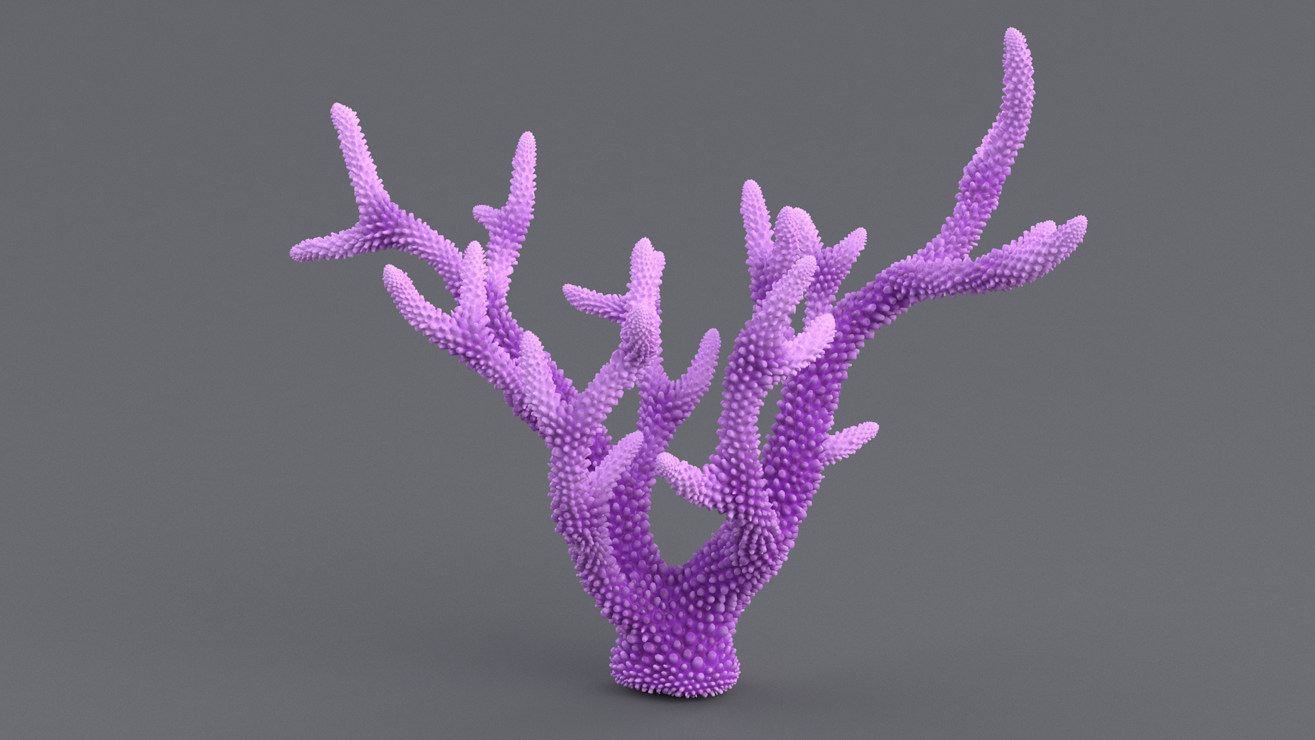 3D Coral 4 M - TurboSquid 1582061