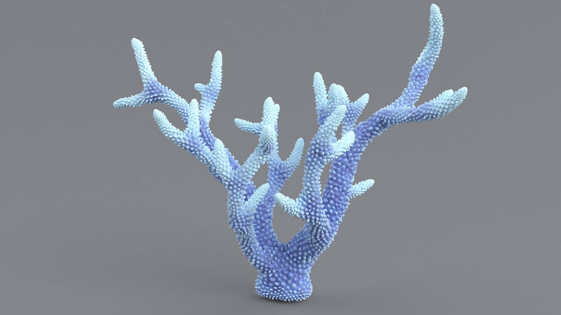 3D Coral 4 M - TurboSquid 1582061