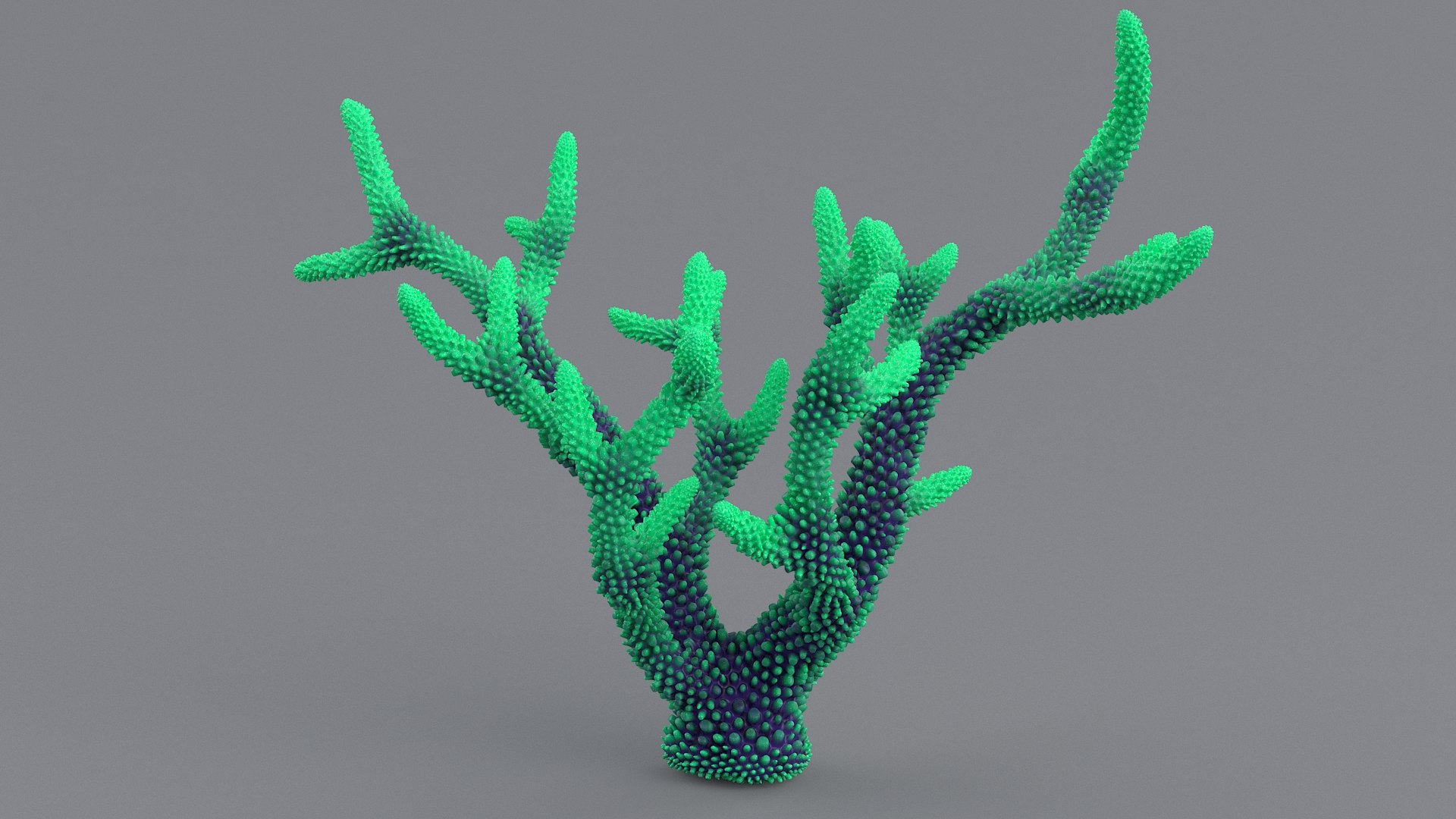 3D Coral 4 M - TurboSquid 1582061