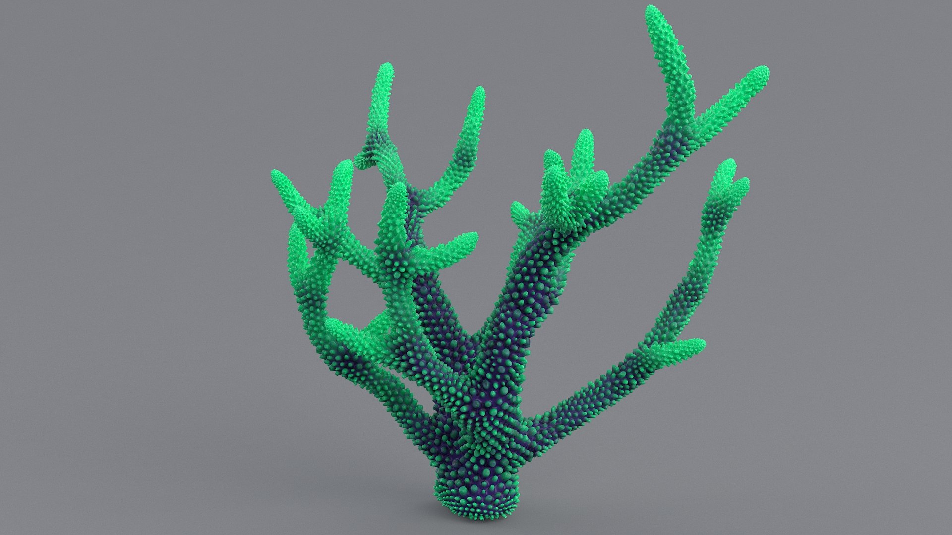 3D Coral 4 M - TurboSquid 1582061