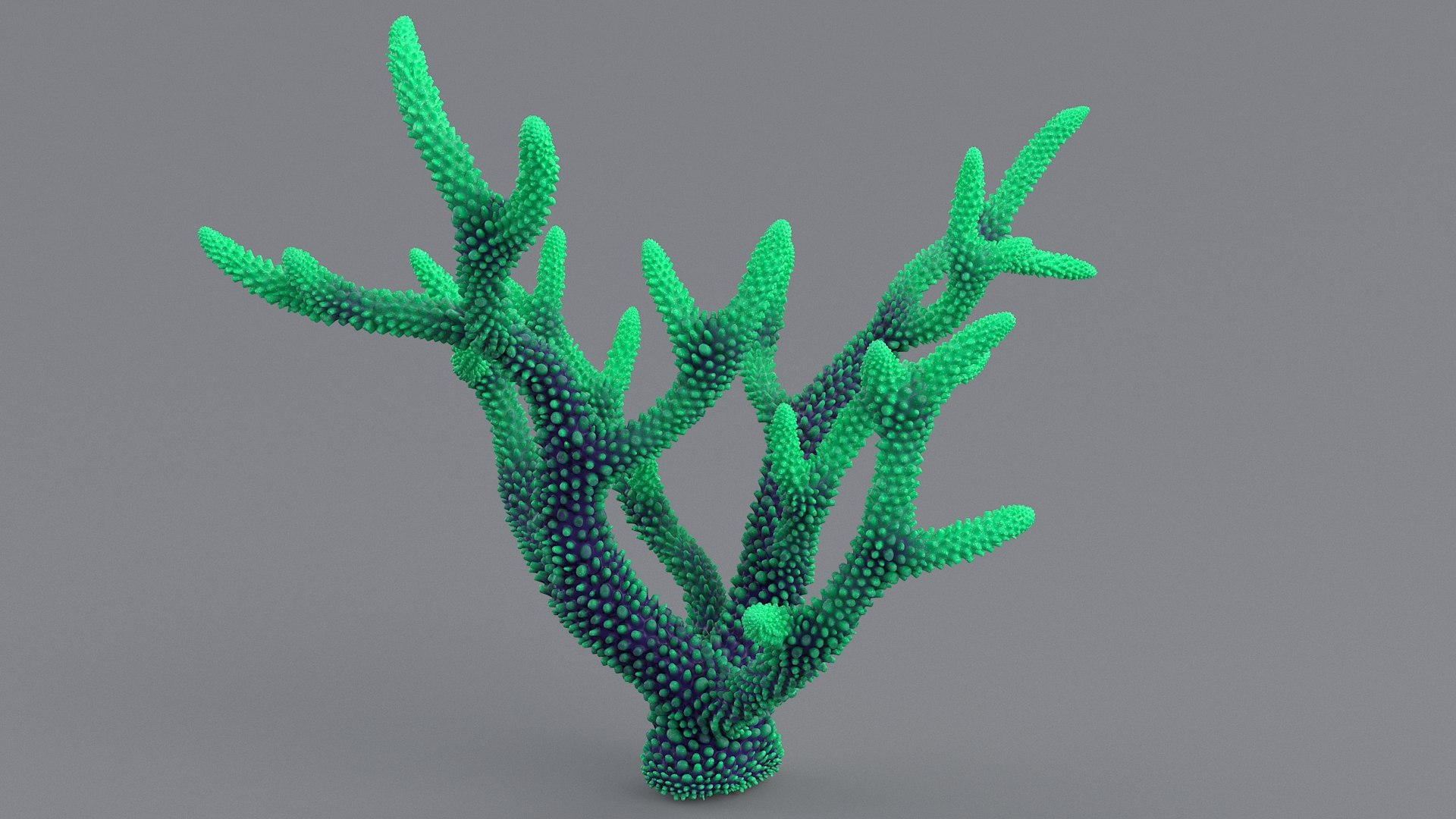 3D Coral 4 M - TurboSquid 1582061